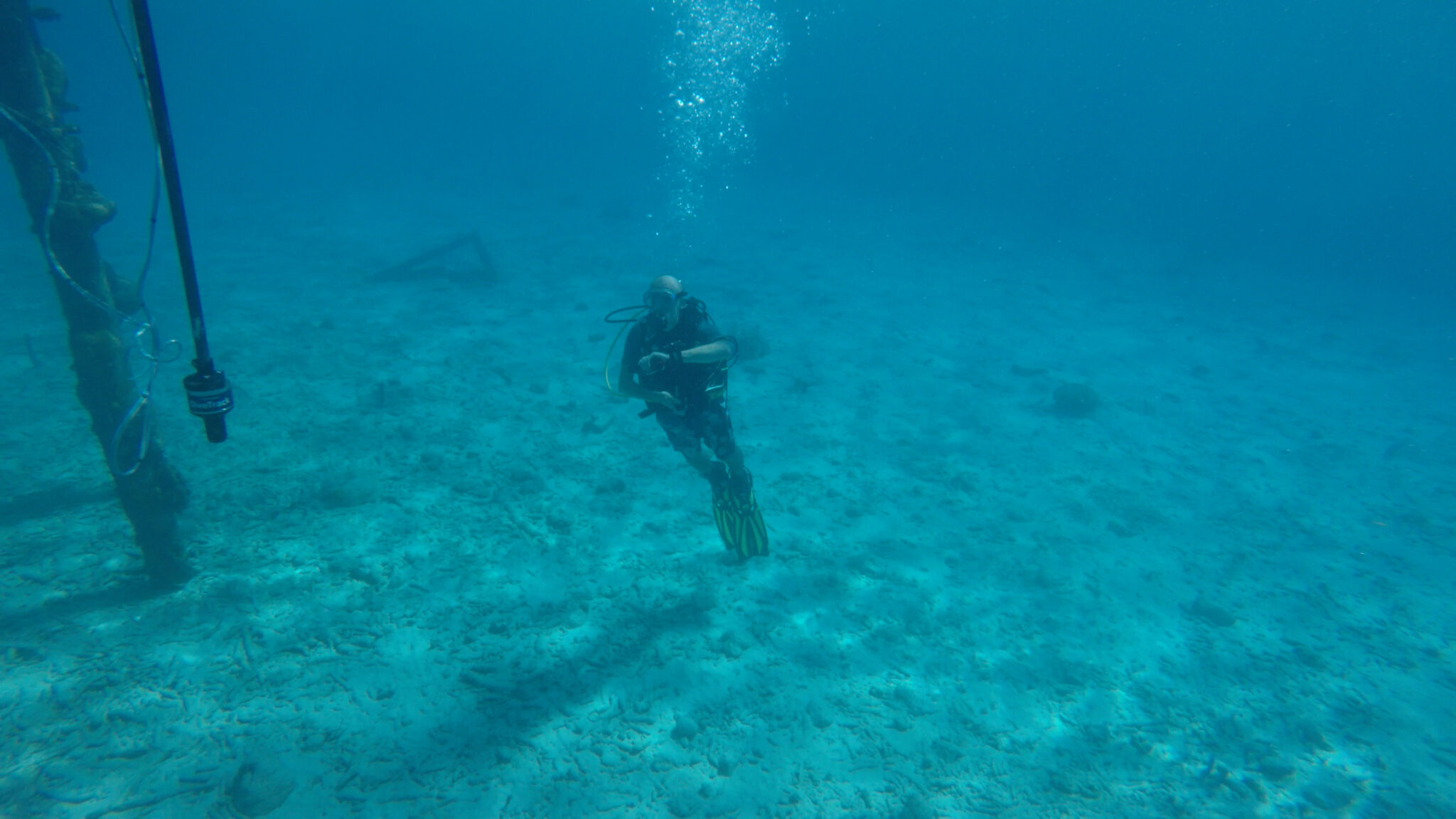 Enhancing dive performance and safety: the challenge – Forcys