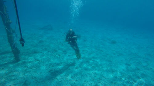 Enhancing dive performance and safety: the challenge – Forcys